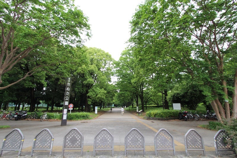 暮らしやすさと自然が調和する街、用賀駅エリアの魅力を探る 【カウカモジャーナル】